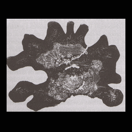 Portal Guaraní - EDITH JIMÉNEZ - Obras y Comentarios de TICIO ESCOBAR ...