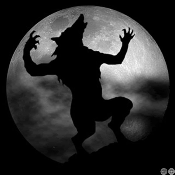 Portal Guaraní - EL LUISON DE TACUARAL... - Cuento de GABRIEL RODRÍGUEZ ...