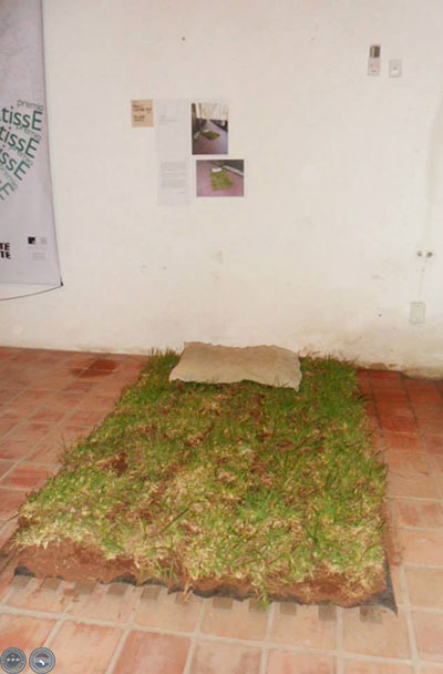 Portal Guaraní - PREMIO HENRI MATISSE 2014 - ALIANZA FRANCESA y ...