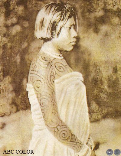 Portal Guaraní - Historia Política - REPÚBLICA DEL PARAGUAY