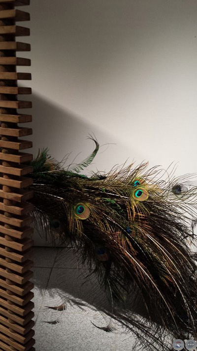 Portal Guaraní - BIOMBO - Objeto - arte de JENARO PINDÚ - Jenaro Pindú ...