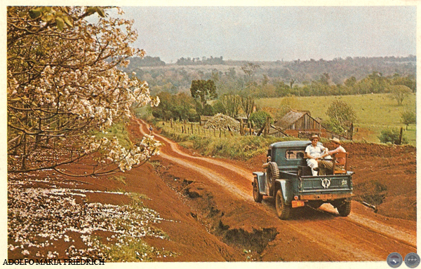 Portal Guaraní - PLANTACIONES DE TUNGCOLONIA POLACA FRAM - PARAGUAY ...