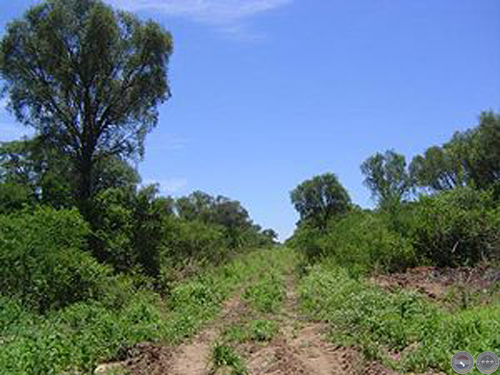 Portal Guaraní - INFORMACIÓN GENERAL SOBRE LAS ÁREAS SILVESTRES ...